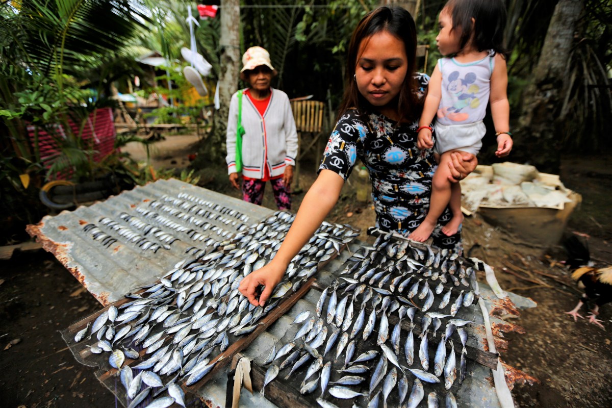 Labtingaw Fish Dying in Dipolog City Amid Poverty – Mata Press