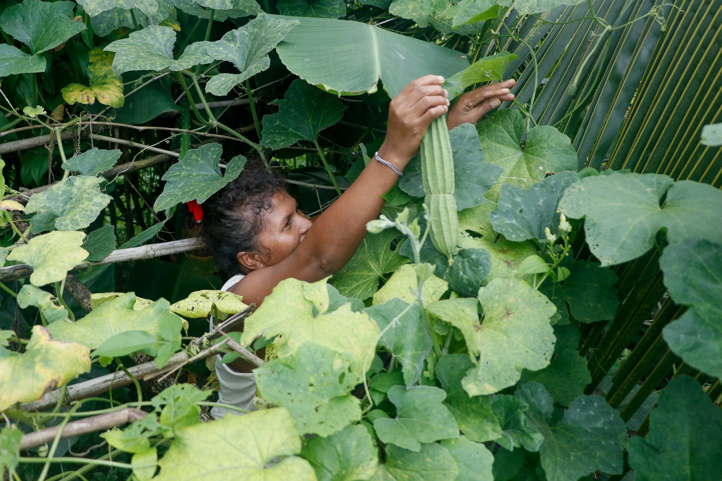Dunong ng Lupa: Wielding newfound knowledge to assert Indigenous rights ...