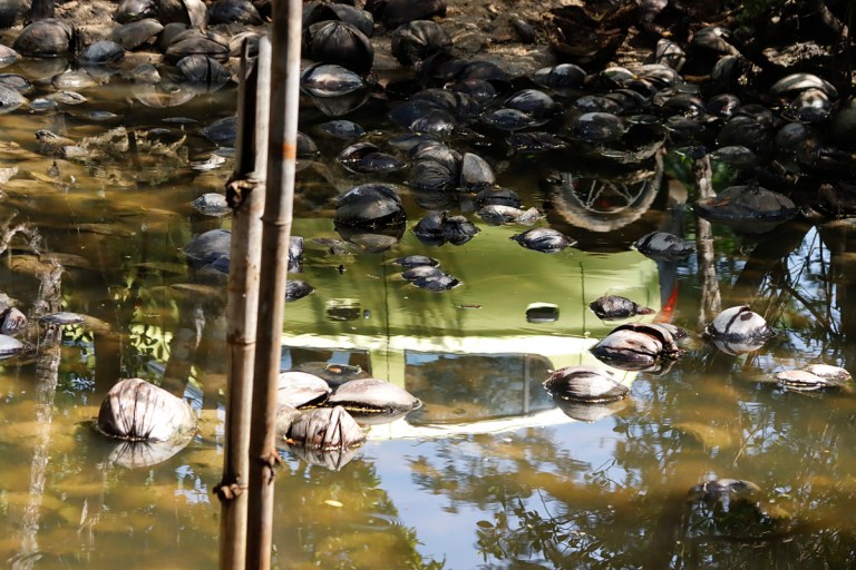 Rediscovering Asin Tibuok — a cultural salt of Bohol – Mata Press