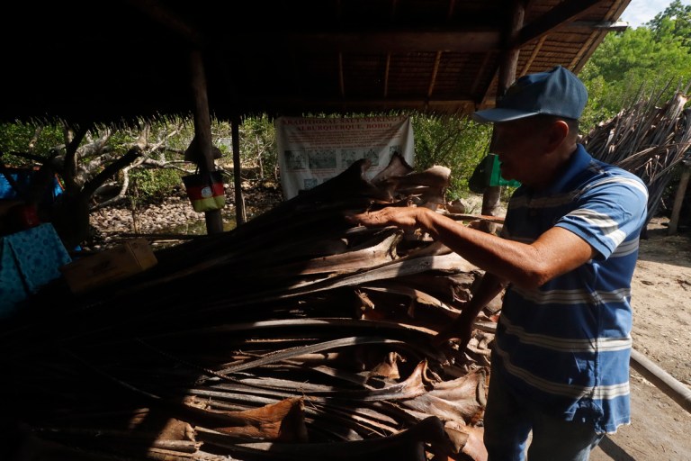 Rediscovering Asin Tibuok — a cultural salt of Bohol – Mata Press